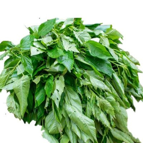 Vegetables - Ewedu – Noveris