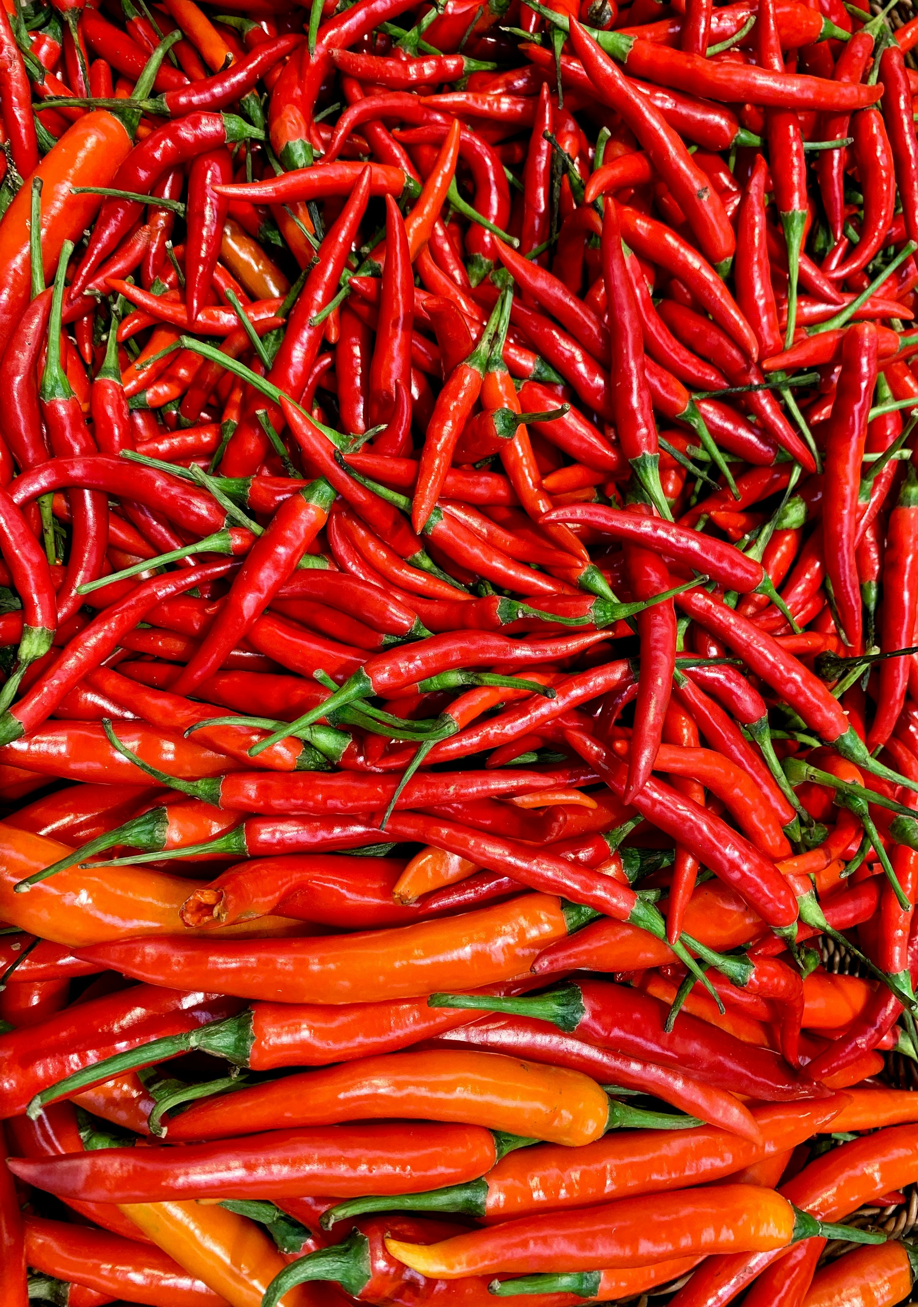 Long Chili Pepper (Bawa) – Noveris